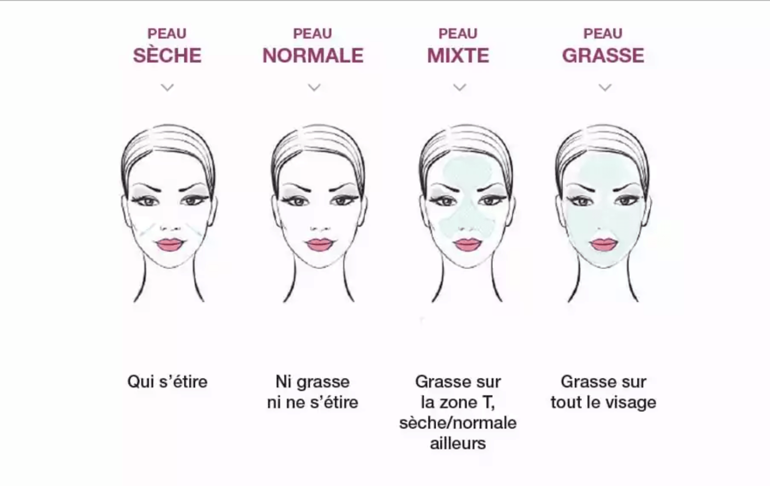 Types de peaux et biologie cutanée - Biologie cutanée: la peau
